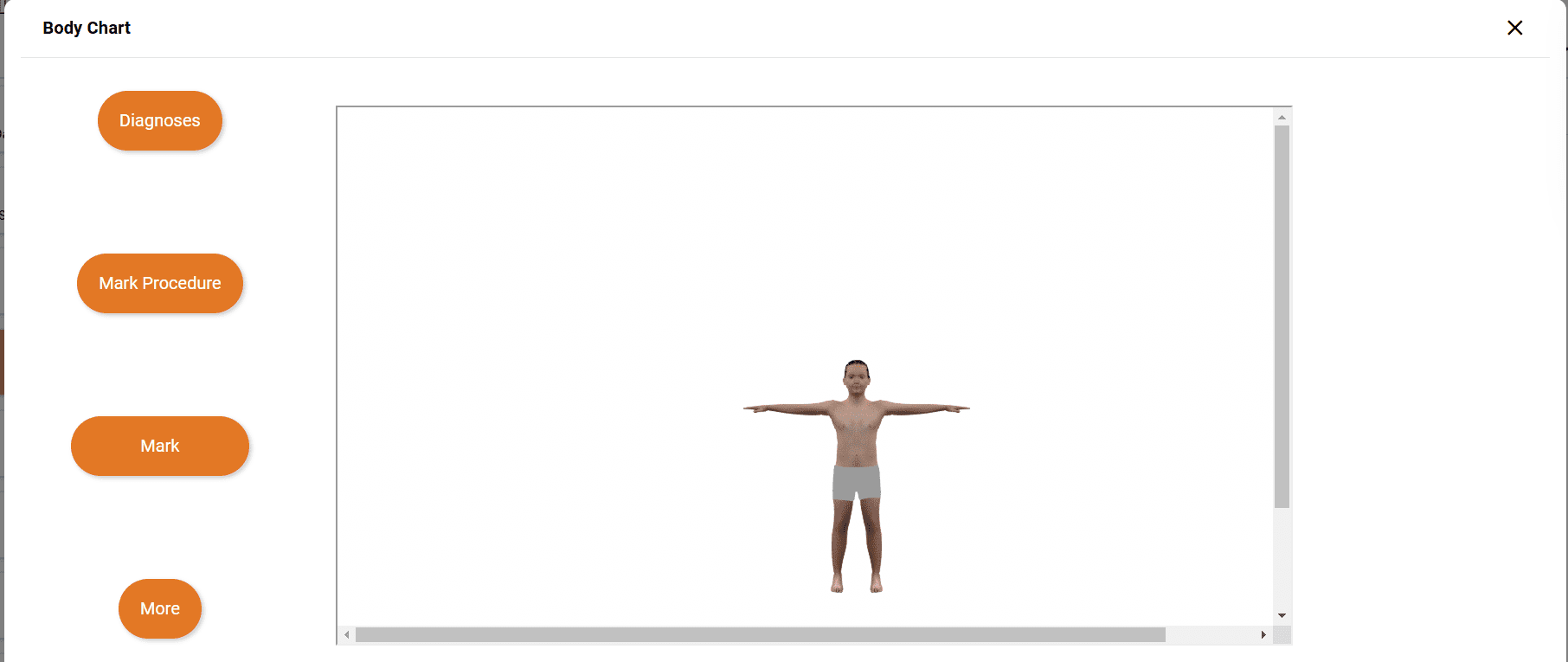 How to use the Bodychart in EMR – LegendEHR